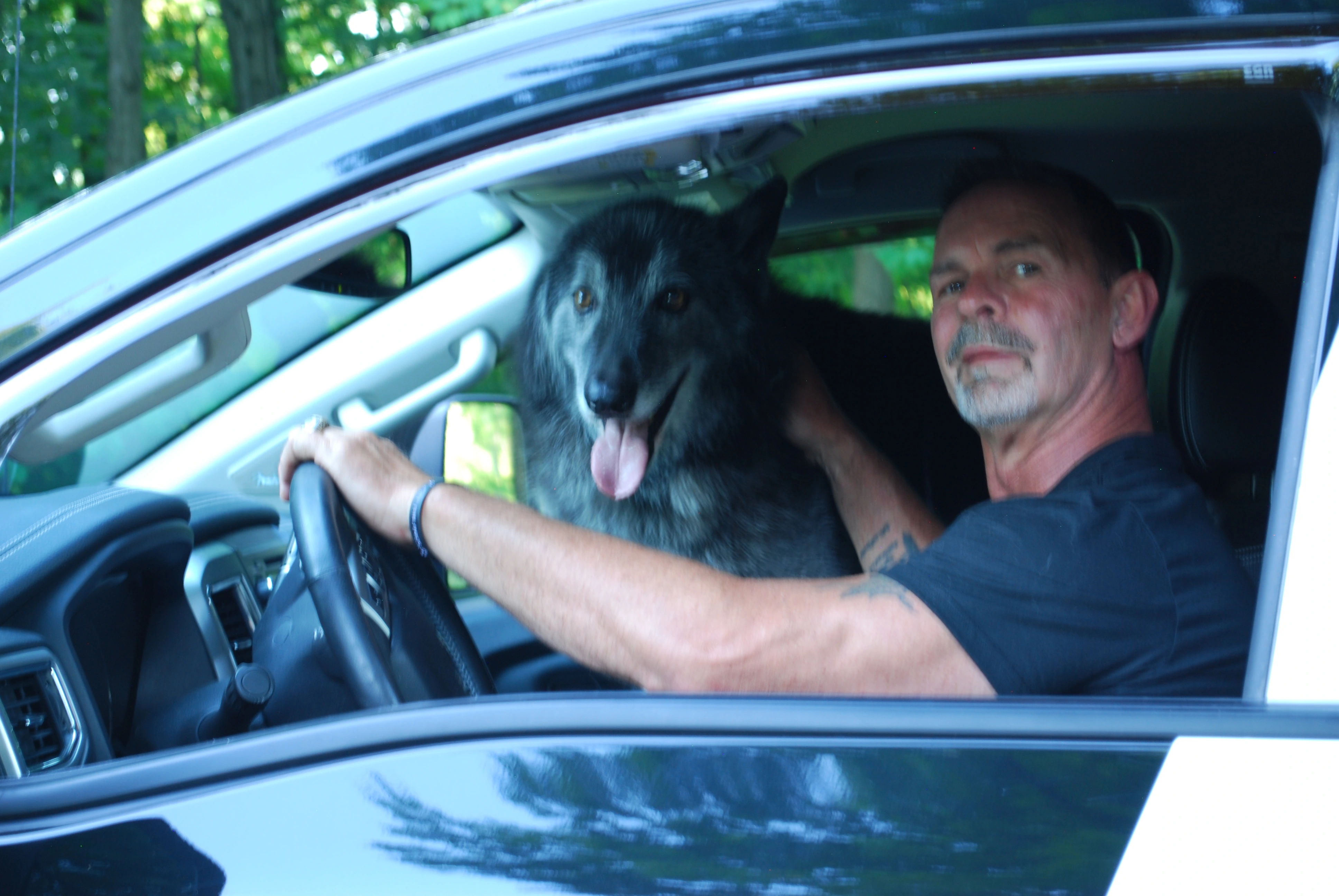 Media | Raging Wolf Solutions